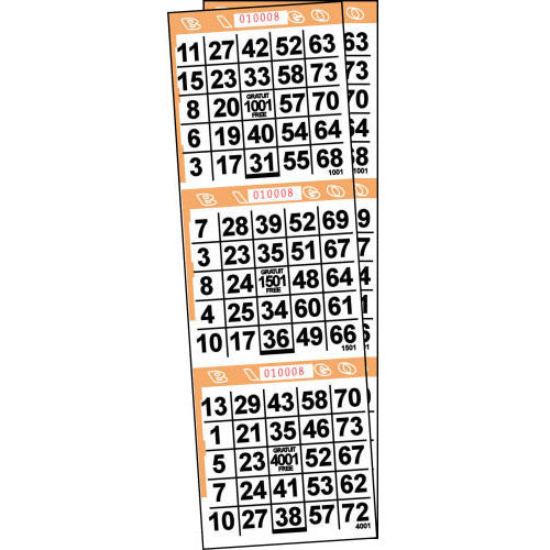3 ON Vertical Paper Bingo Cards (500 ct) – US Novelty